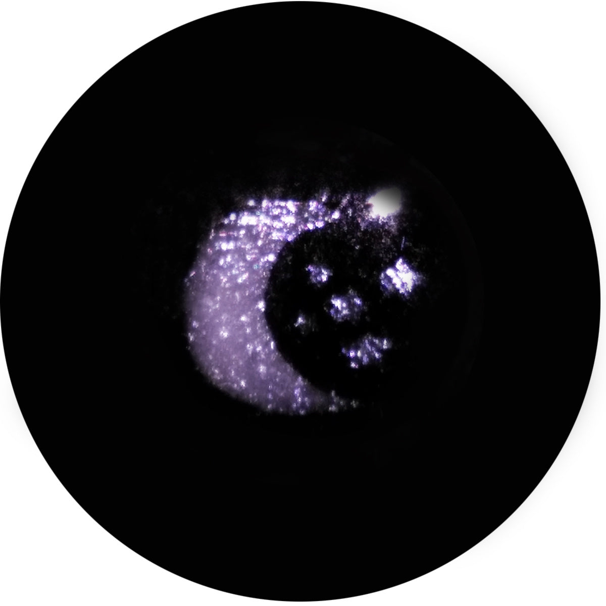 Moon & Stars Milli – ABR Imagery